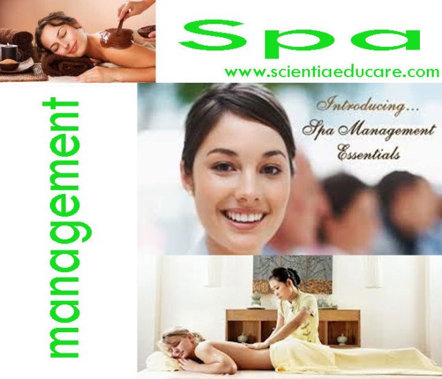 Spa Management Career Guide: Jobs and Growth Opportunities