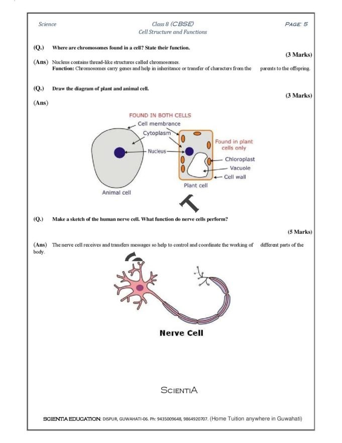 CHAPTER:1 CLASS: VIII Cell Structure and Functions - Knowledge and ...