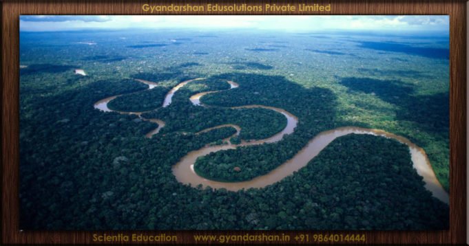 20% of Earth’s oxygen is produced by the Amazon rainforest..